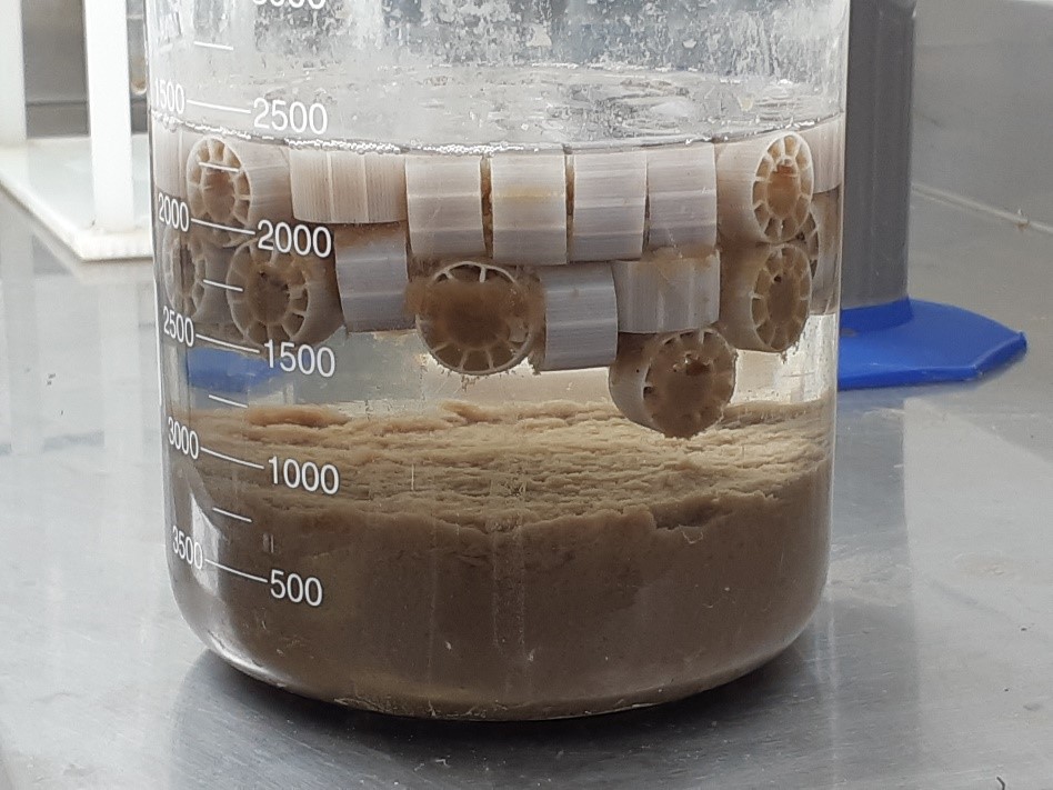 Krauch Ingenieria de Proyectos